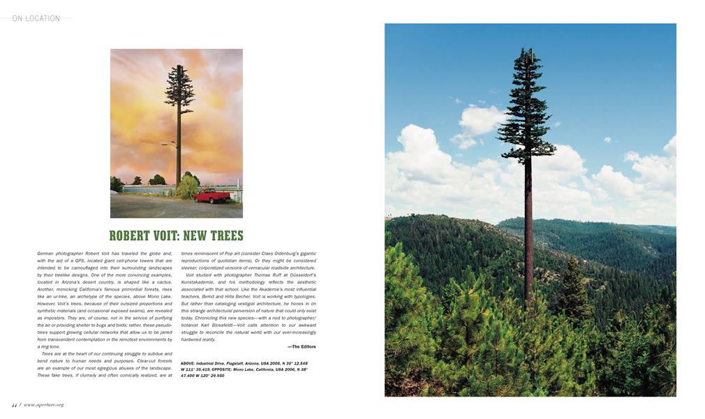 Robert Voit: New Trees | Aperture | Spring 2010