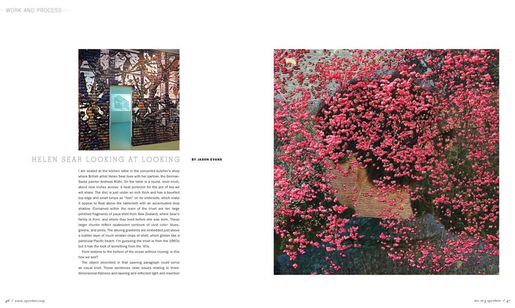 Helen Sear Looking At Looking | Aperture | Summer 2011