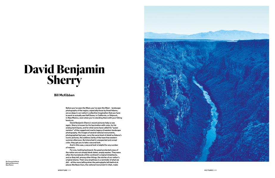 David Benjamin Sherry | Aperture | Spring 2019